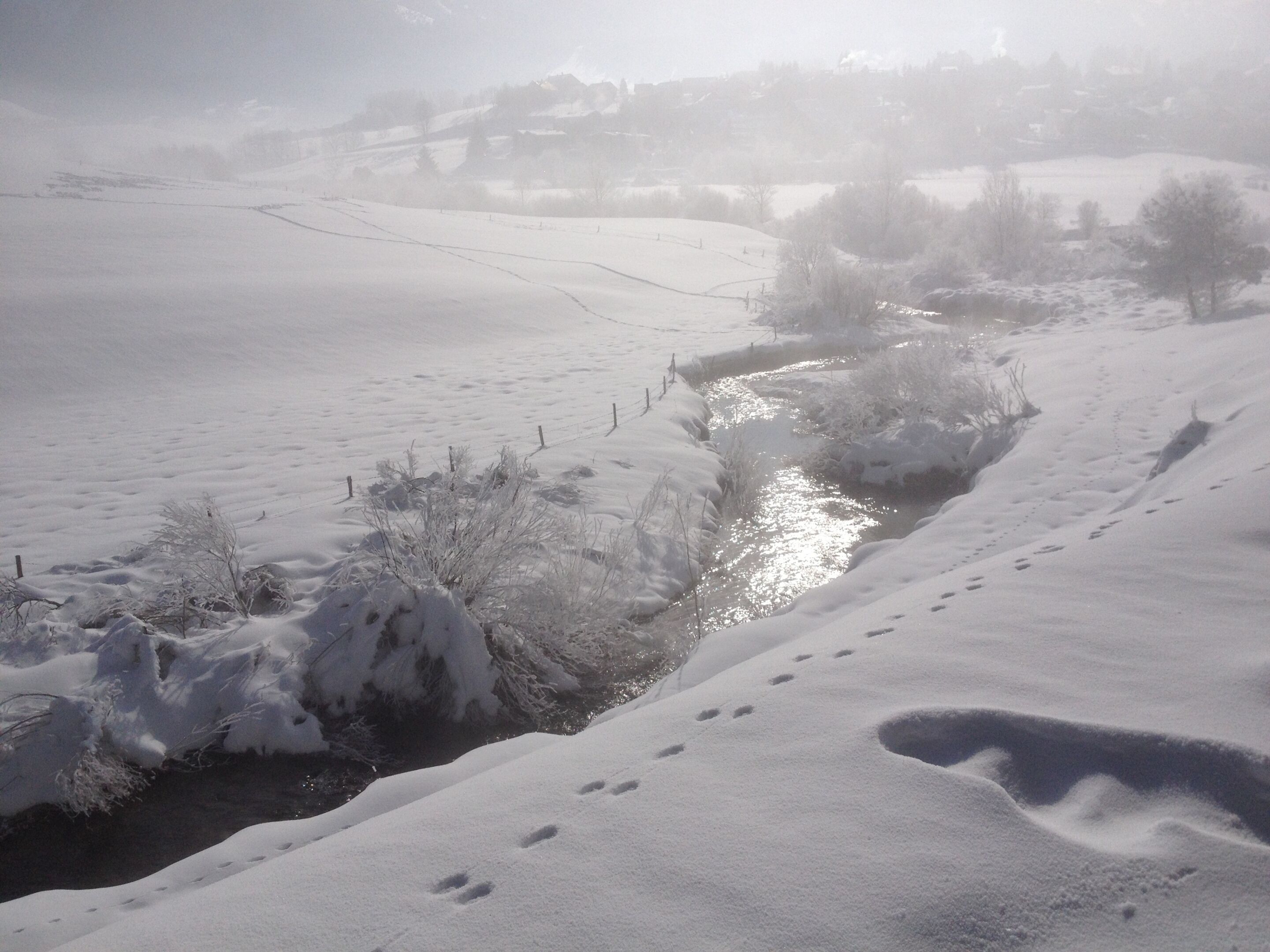 Paisagem coberta de neve com um riacho congelado, árvores sem folhas e casas ao longe.