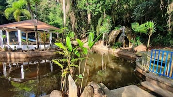 Piscina interna, 3 piscinas externas, guarda-sóis, espreguiçadeiras