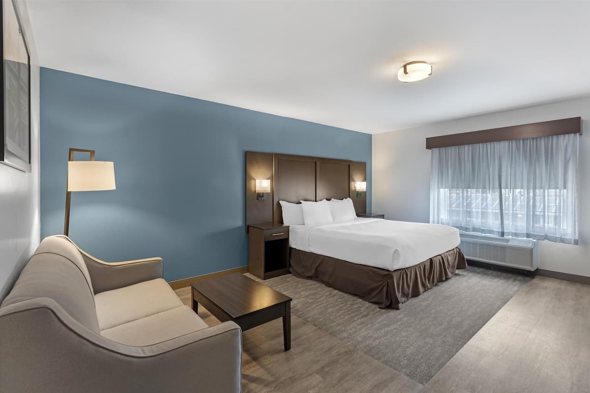 Quarto de hotel moderno com uma cama grande, um sofá, uma mesa de cabeceira e uma escrivaninha.