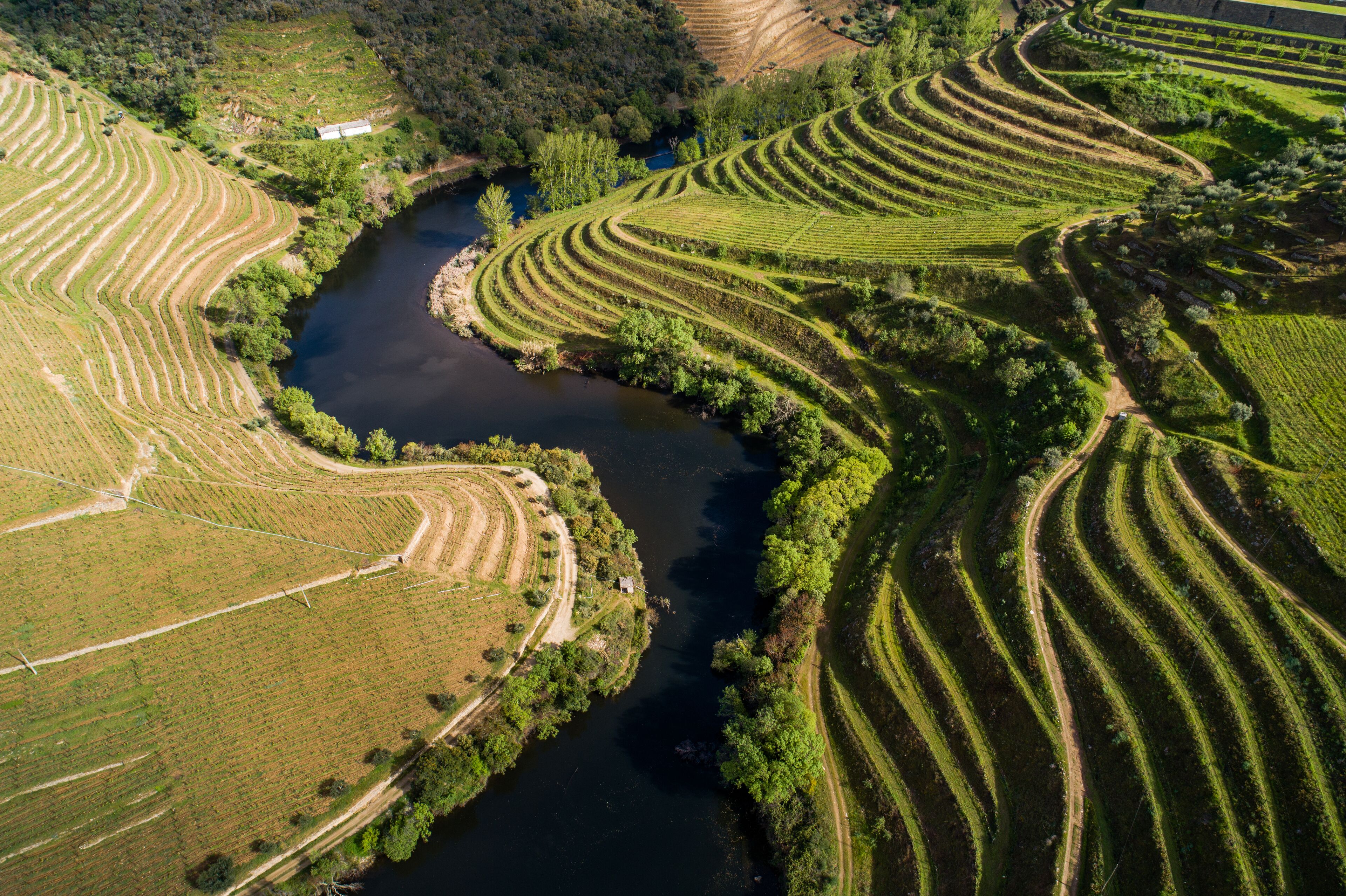Campos em socalcos ao longo de um rio.
