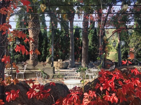 Área da propriedade