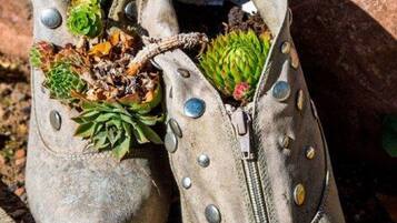 Um par de botas com plantas a crescer no seu interior, apoiadas numa superfície de pedra.
