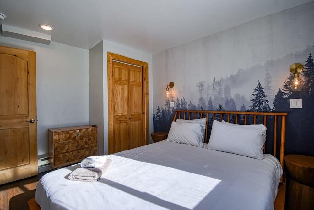 2br Epic Mountain View - Pet Friendly - Leadville, CO