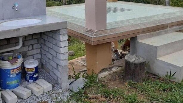 Casa de banho com lavatório, espelho e janela com vista para uma área arborizada.