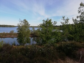 Paisagem natural com um lago, árvores e uma área arborizada.