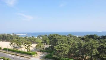 Vista para a praia ou o mar