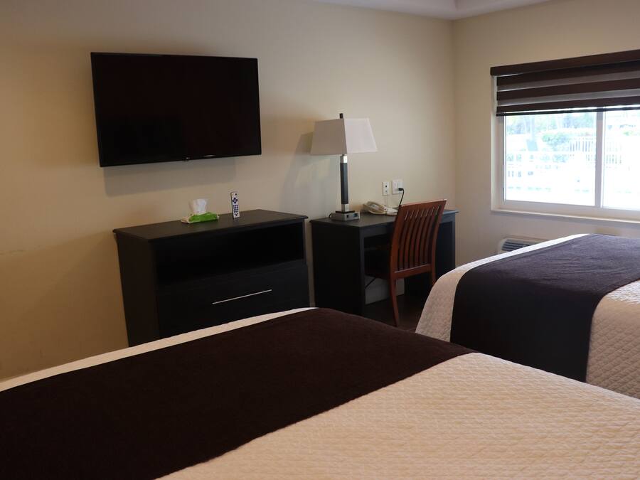 Quarto de hotel com duas camas, uma mesa de trabalho com luminária, televisão e janela com persianas.