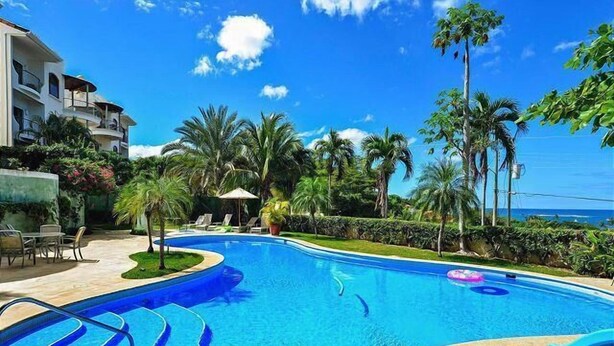 Uma piscina com design curvo, rodeada por palmeiras e vista para o oceano.