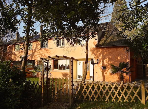 Grande Villa Du Chateau In Touraine - La Roche-Posay