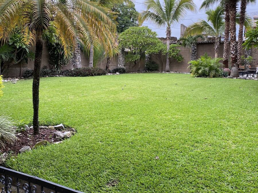 Jardim