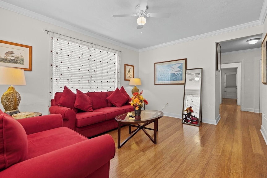 Davis Islands Audubon Oasis 1 Bedroom - Tampa