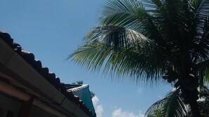 Céu azul e límpido, com o sol brilhando, uma palmeira e um edifício com telhado de azulejos.
