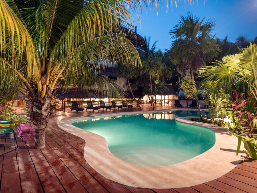 Piscina cercada por um deck de madeira, palmeiras e cadeiras de descanso.