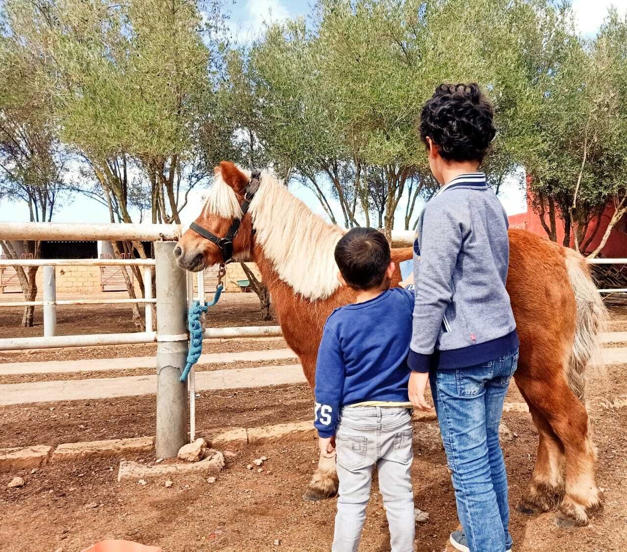 Uma criança e um adulto em pé ao lado de um cavalo em um espaço ao ar livre, com árvores ao fundo.