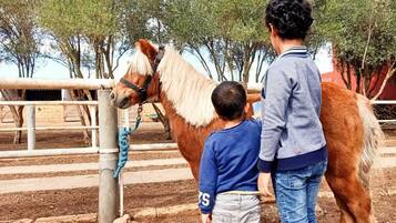 Uma criança e um adulto em pé ao lado de um cavalo em um espaço ao ar livre, com árvores ao fundo.