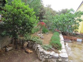 Um jardim com várias plantas e uma parede de pedra.