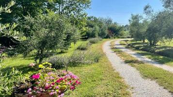 Apartamento | Vista do alojamento