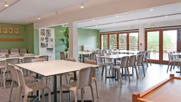 Uma sala de jantar ampla, com várias mesas e cadeiras, uma parede verde decorativa e grandes janelas que permitem entrada de luz natural.