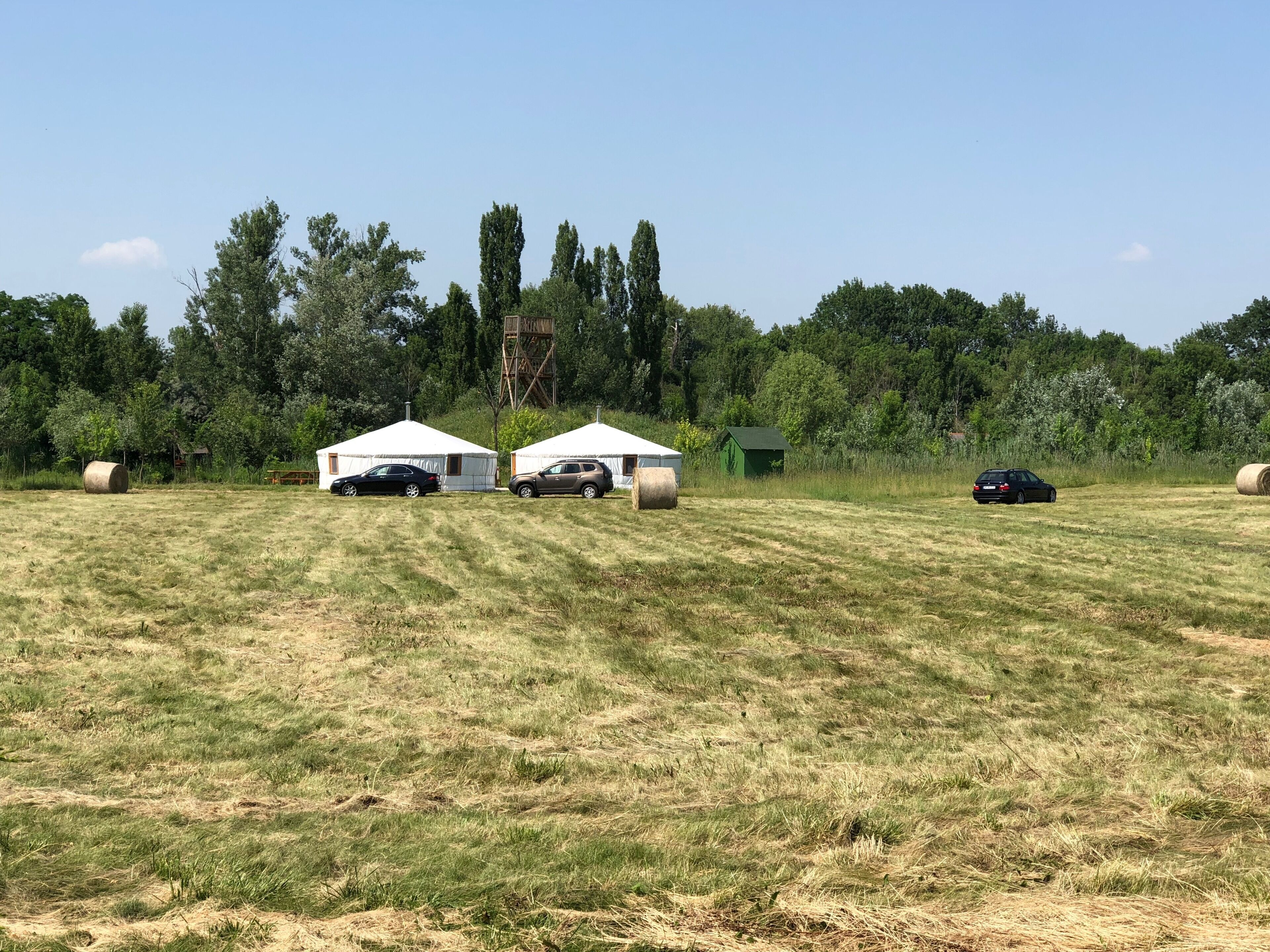 Um campo gramado com iurtas e um pequeno edifício verde, rodeado por árvores.