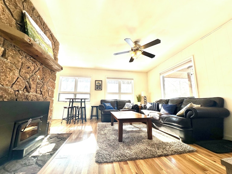 The Lake City Cabin & Ice Climbers Paradise - Lake City, CO