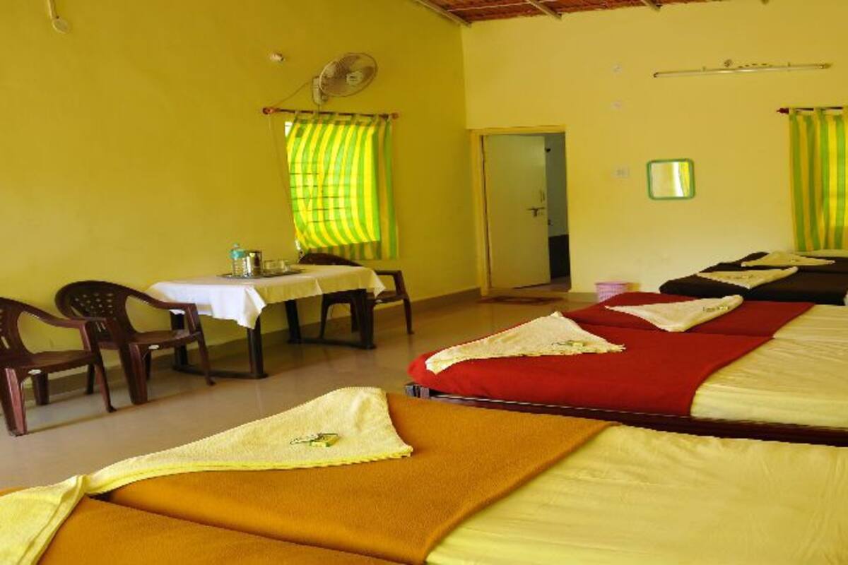 Dormitory Room | Vista para o jardim