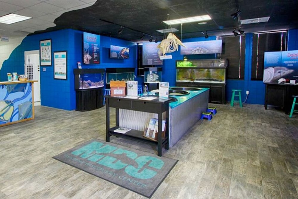 <:>< Deals Seawoods No Drive Beach, H. Pool, Ground Floor, Walking Trails ,Pets - New Smyrna Beach, FL