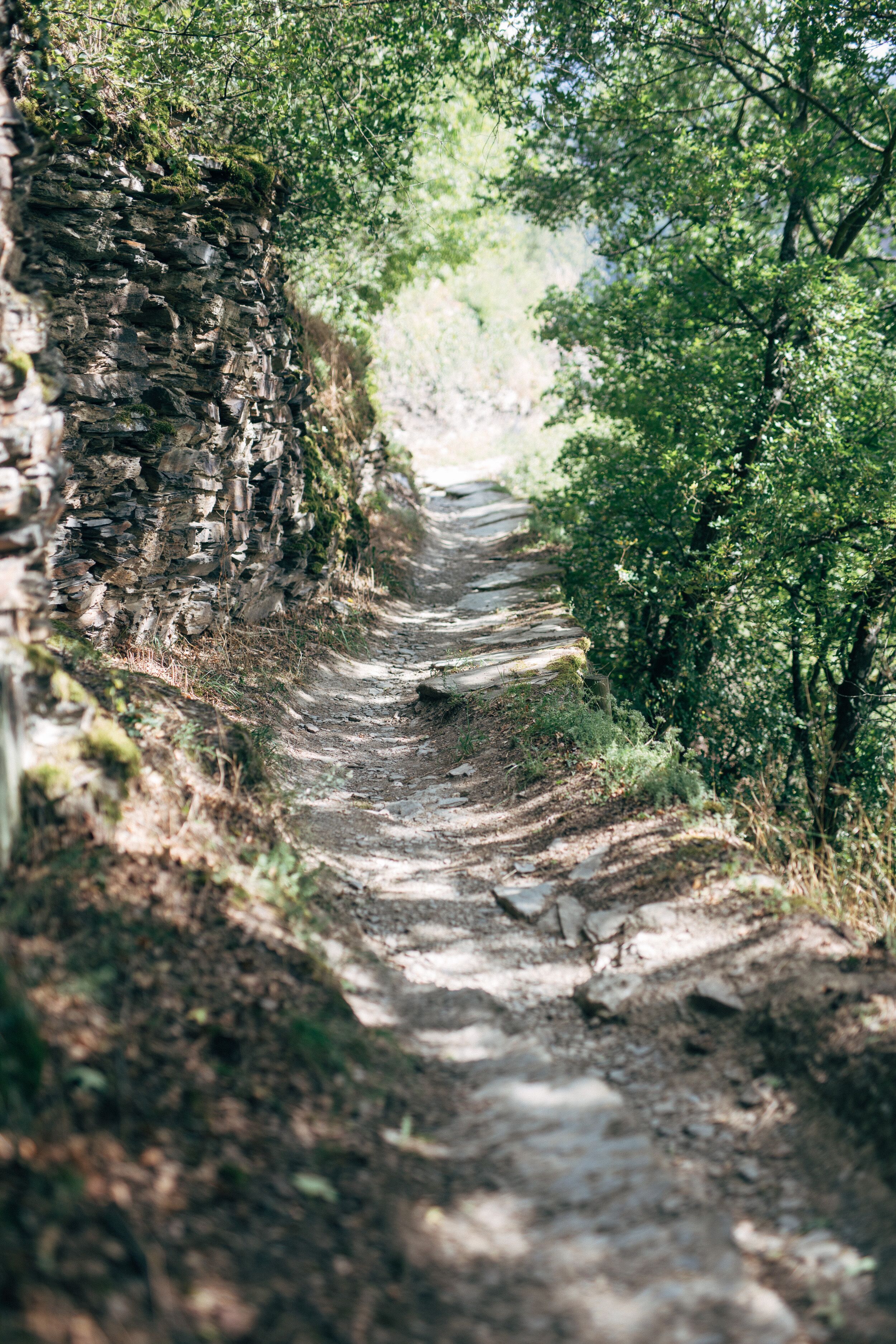 Um caminho estreito e rochoso ladeado por vegetação exuberante e um muro de pedra.