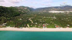Paisagem costeira com vinhedos em socalcos, uma praia e montanhas ao fundo.