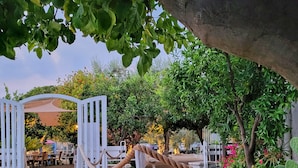 Área externa com calçada pavimentada, barreira de corda e vasos de plantas com flores.