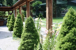 Jardim