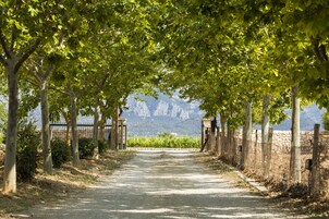 Caminhada