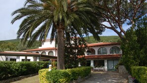 Um edifício com fachada branca, telhado de telhas vermelhas e janelas em arco. Há uma palmeira em primeiro plano e um muro de pedra com vegetação.