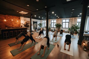Um estúdio de yoga com pisos de madeira, janelas amplas e plantas em vasos.