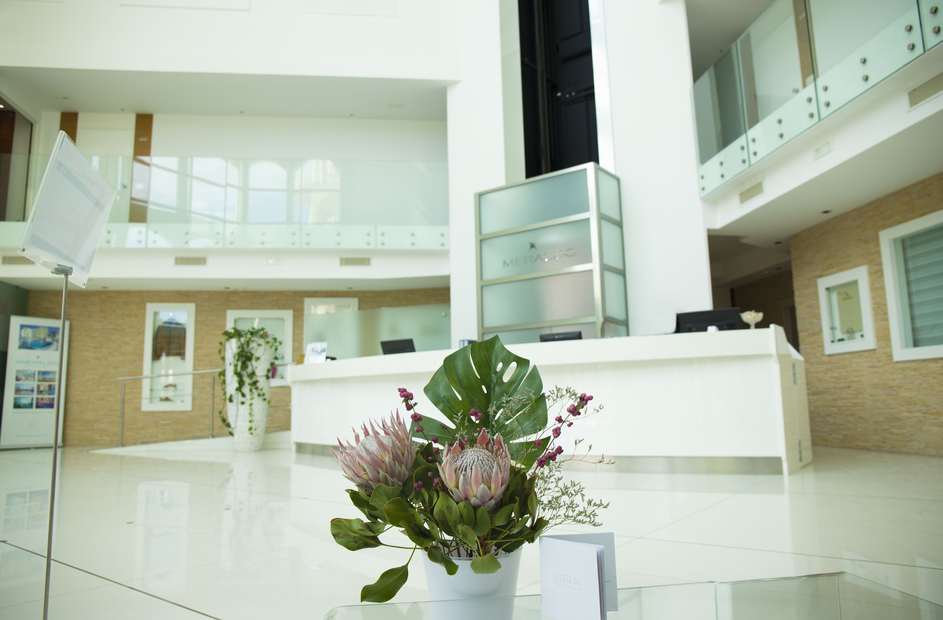 Uma área de recepção moderna, com balcão, um vaso de planta e uma vitrine de vidro.