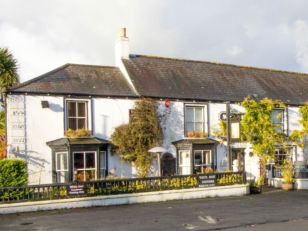 The White Hart - Cornouailles