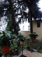 Terraço/pátio interior