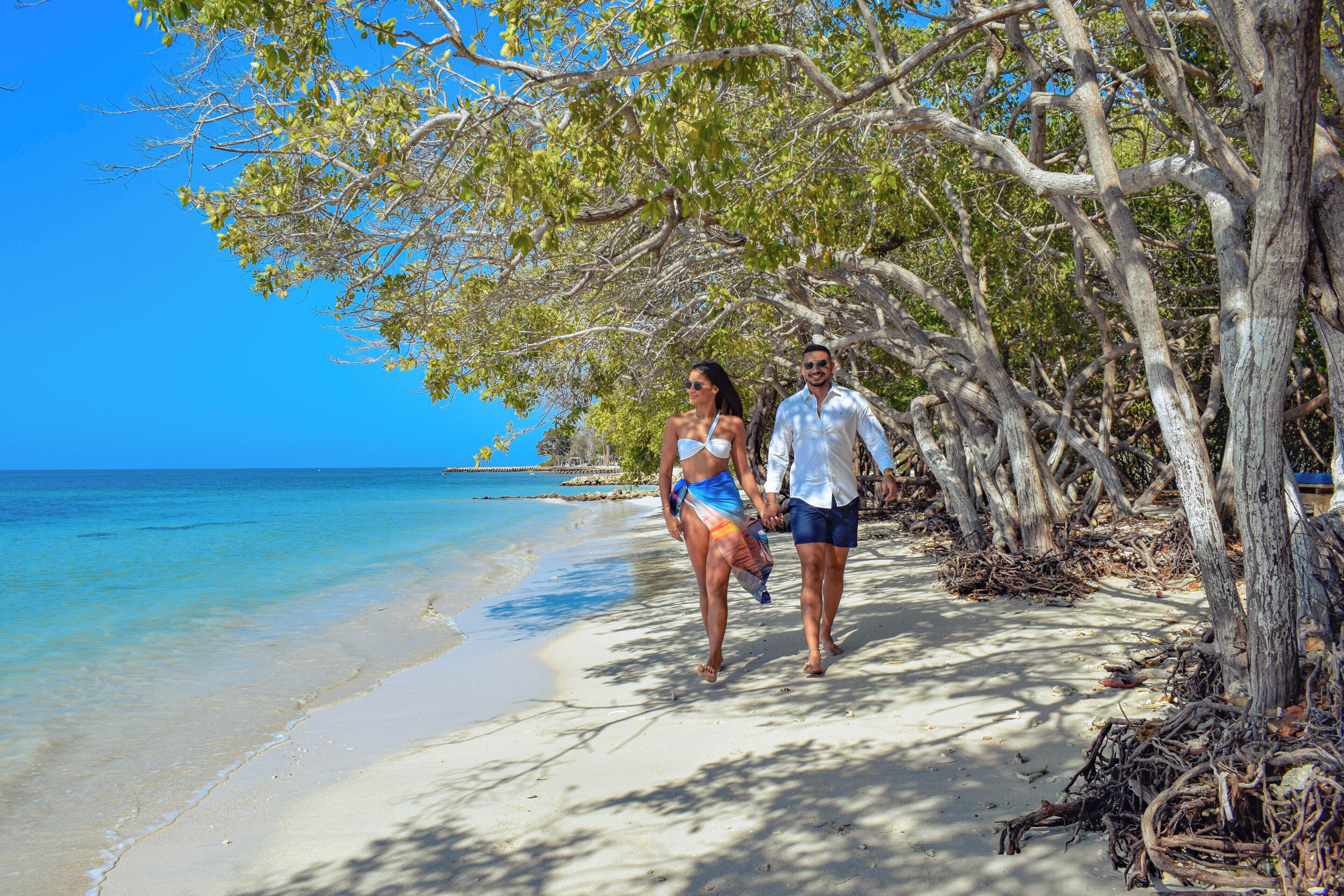 Uma praia com águas azul-claras, areal arenoso e árvores.