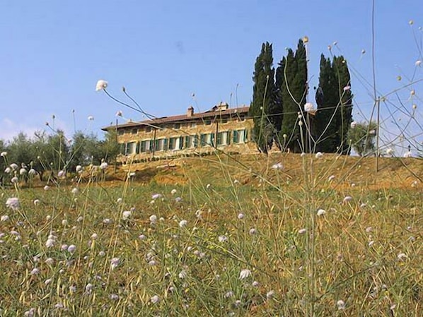 Um edifício com telhado inclinado, várias janelas e paisagem circundante com árvores altas e flores silvestres.