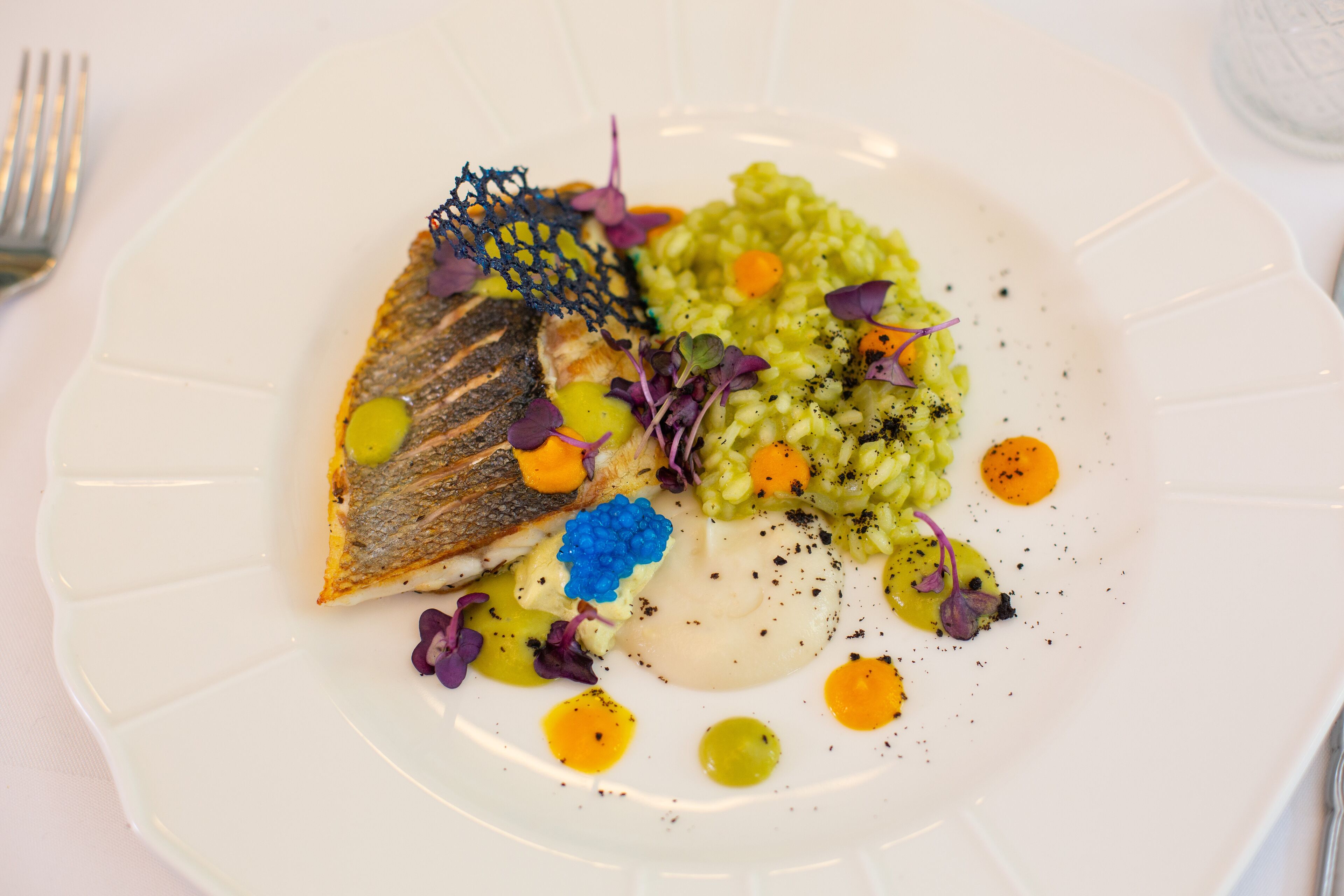 Um prato branco com peixe, risoto verde e diversos acompanhamentos.