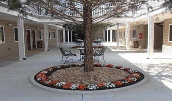 Refeições ao ar livre