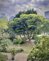 Um parque com uma árvore grande, caminhos e um parquinho.
