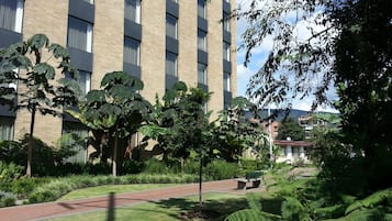 Jardim