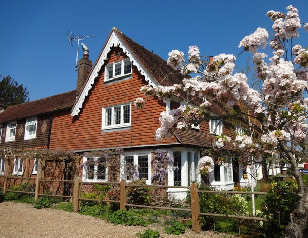 Little Dane Court - Tenterden
