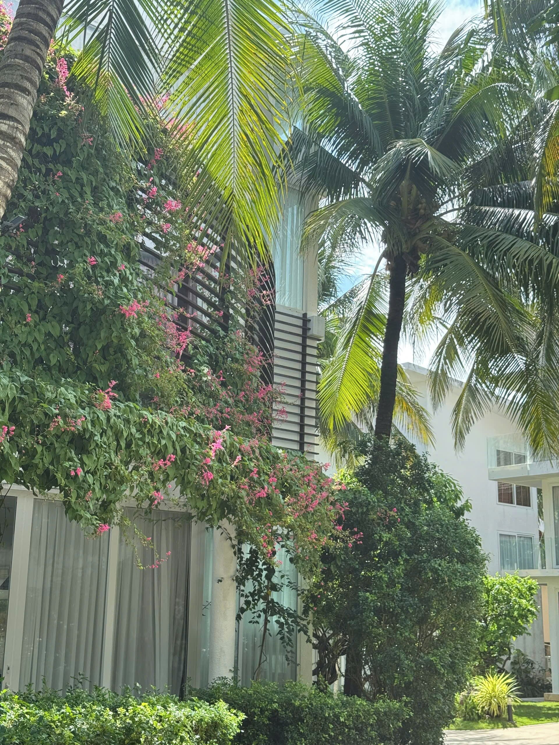 Um edifício com design moderno, com fachada em grande parte de vidro e uma palmeira em primeiro plano.