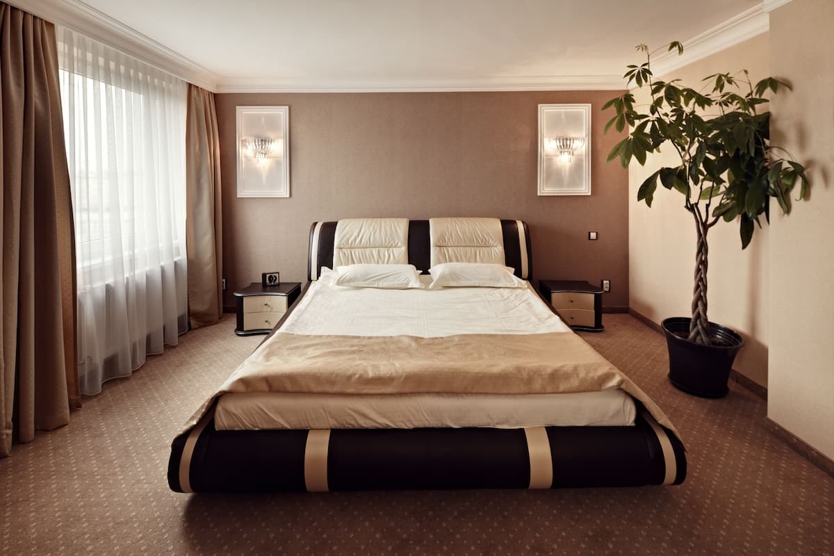 Quarto de hotel com uma cama grande, duas mesas de cabeceira, um vaso de planta e uma janela com cortinas.