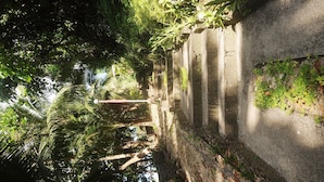 Um caminho ladeado por vegetação exuberante e um muro de concreto.