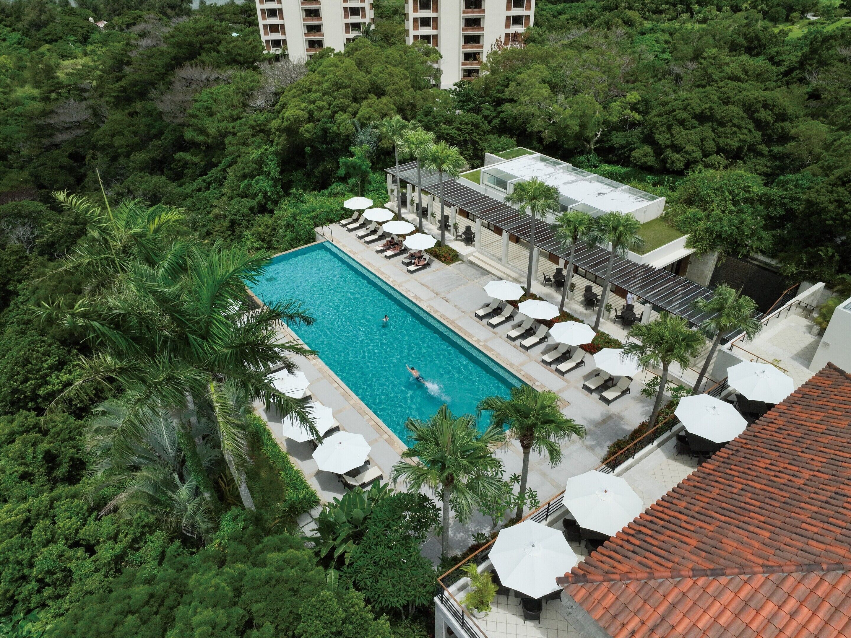 Piscina exterior, guarda-sóis, espreguiçadeiras 