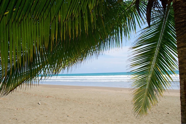 Praia particular, areia preta, espreguiçadeiras, guarda-sóis