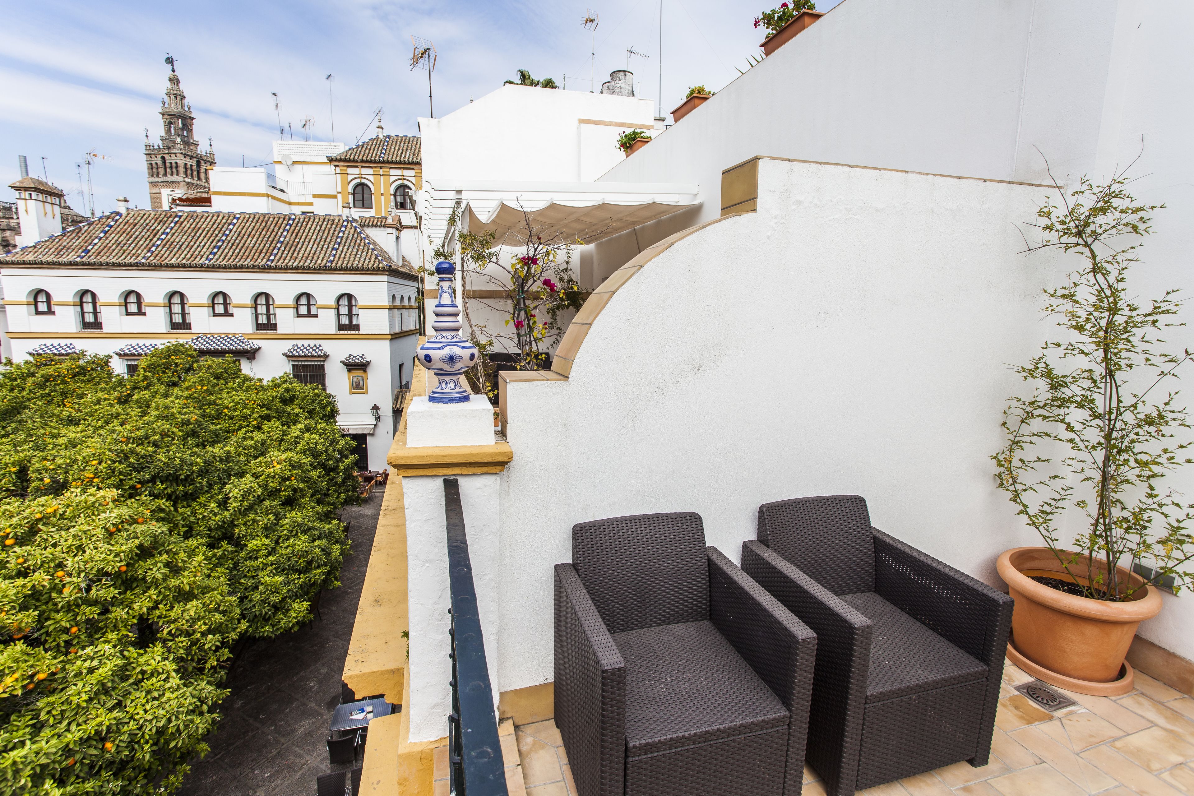 Um terraço com mobiliário de vime, uma planta em vaso e vista para um edifício com torre.