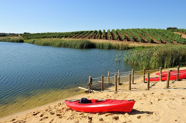 Pesca